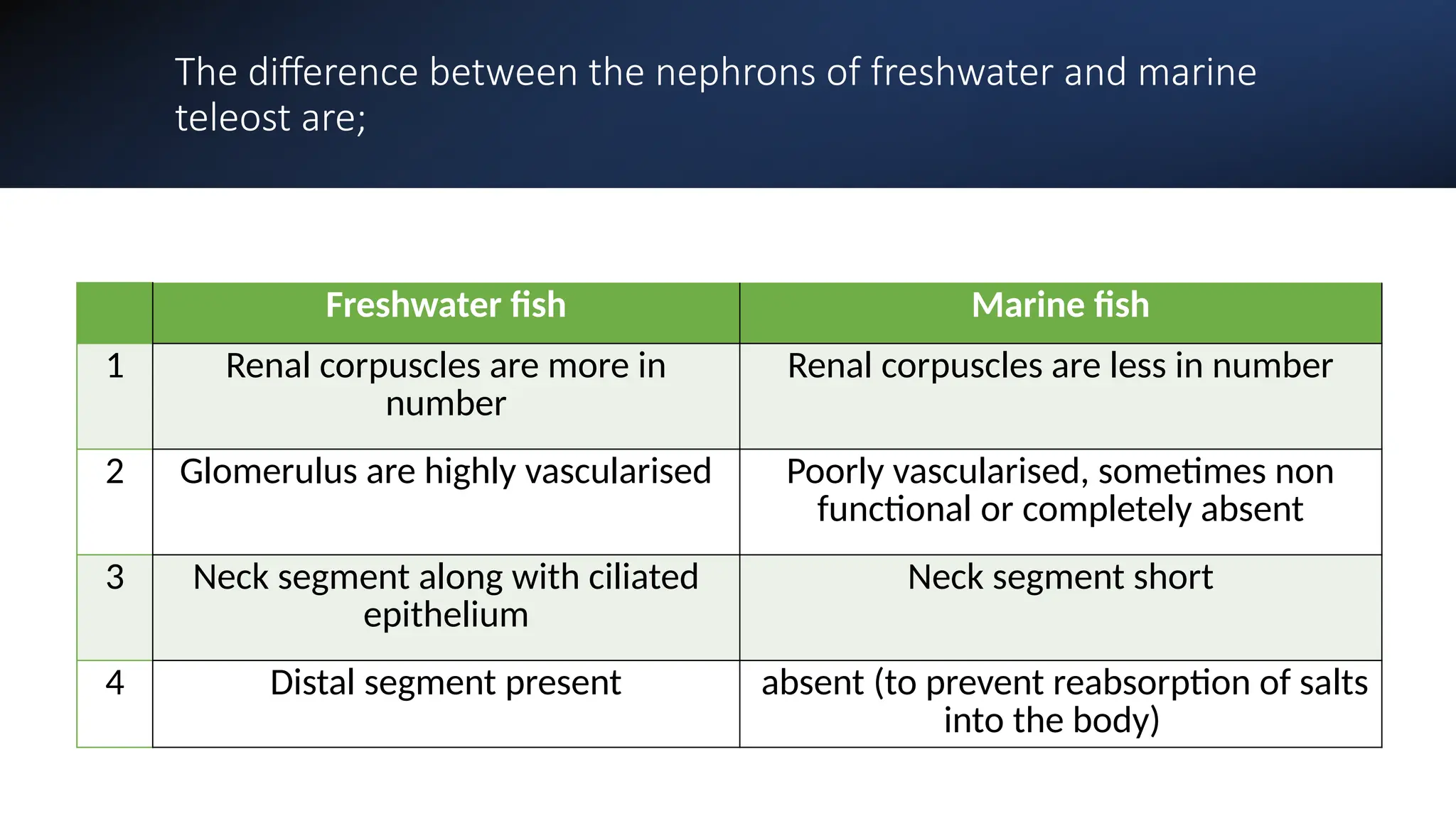 EXCRETORY STRUCTURE IN FISH .pptx