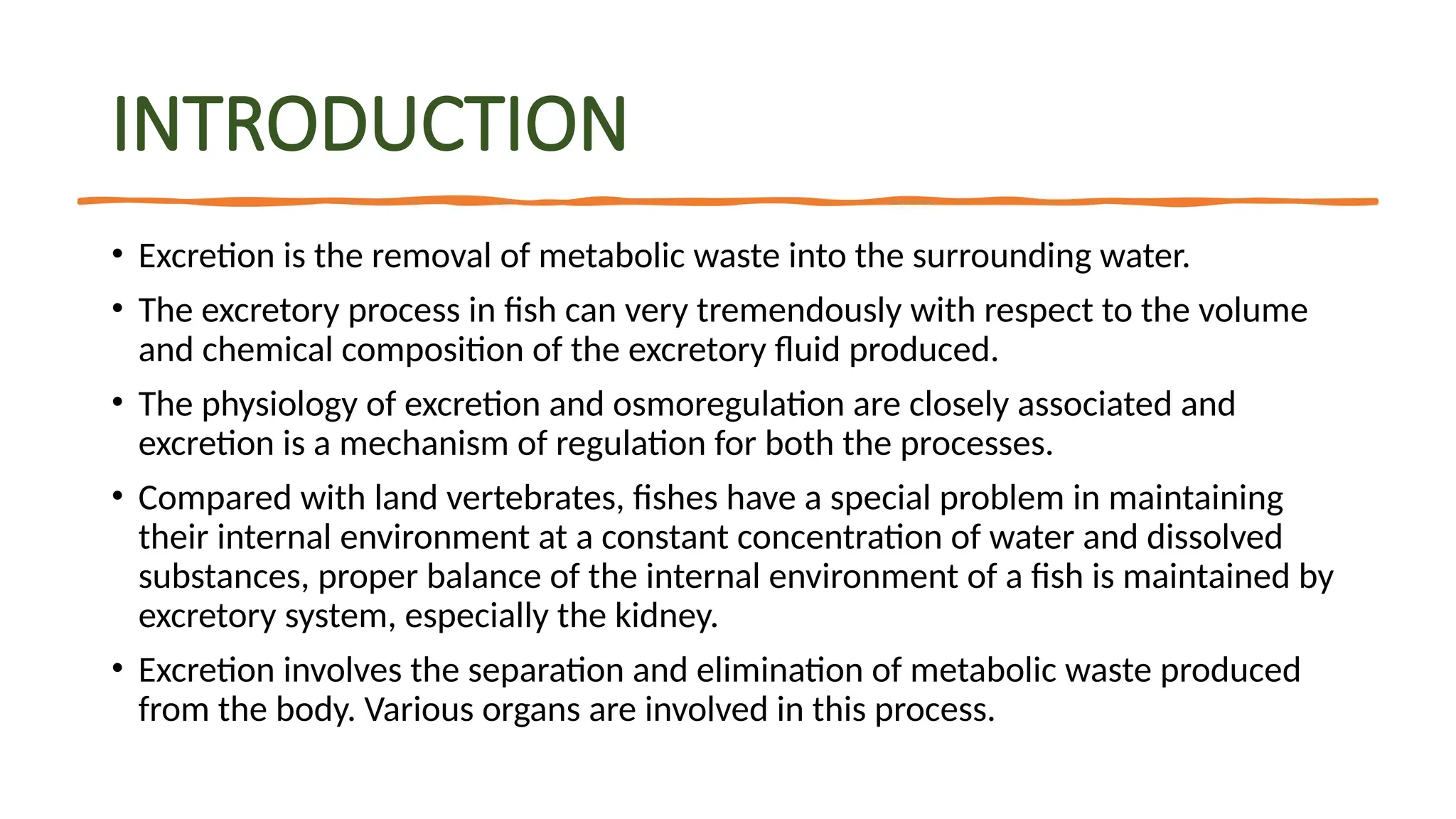EXCRETORY STRUCTURE IN FISH .pptx