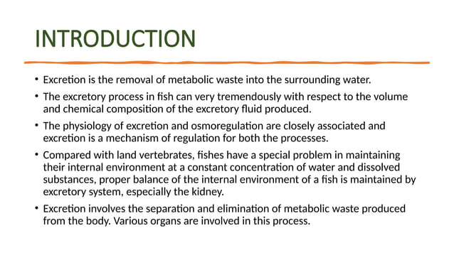 EXCRETORY STRUCTURE IN FISH .pptx