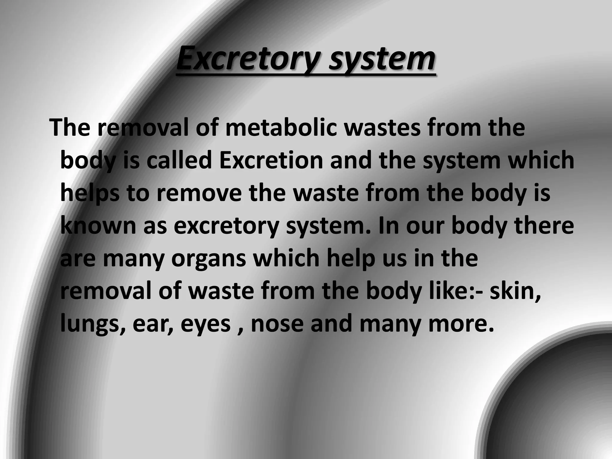 Excretory System In Human Beings | PPTX