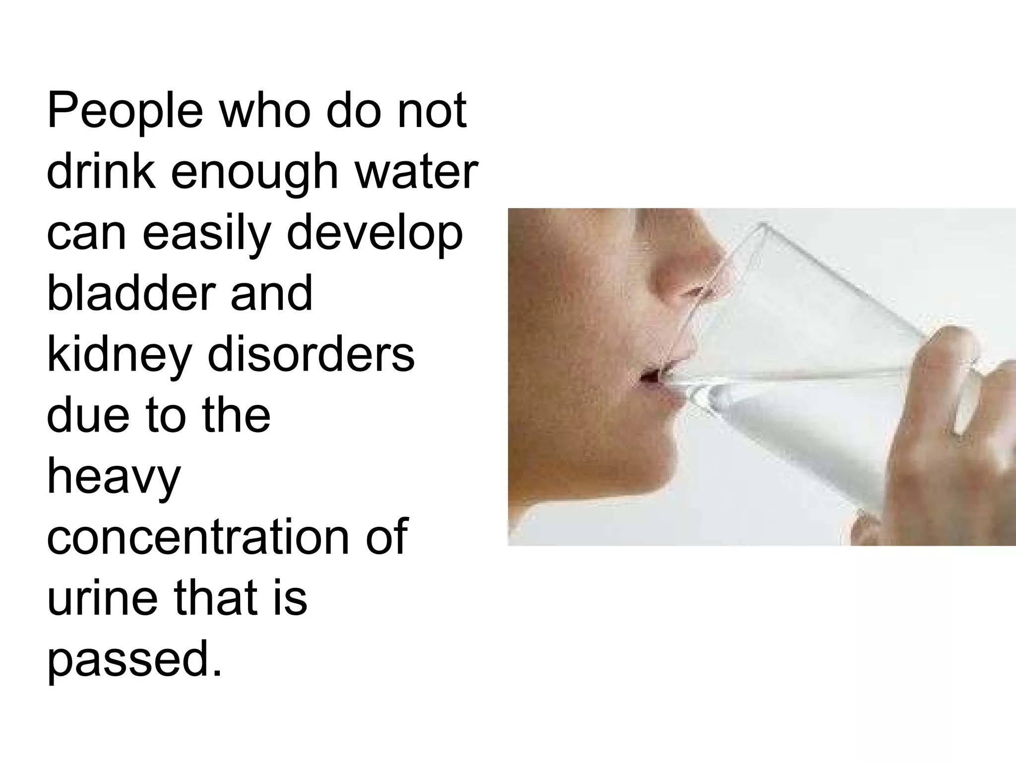 Excretory System | PPT