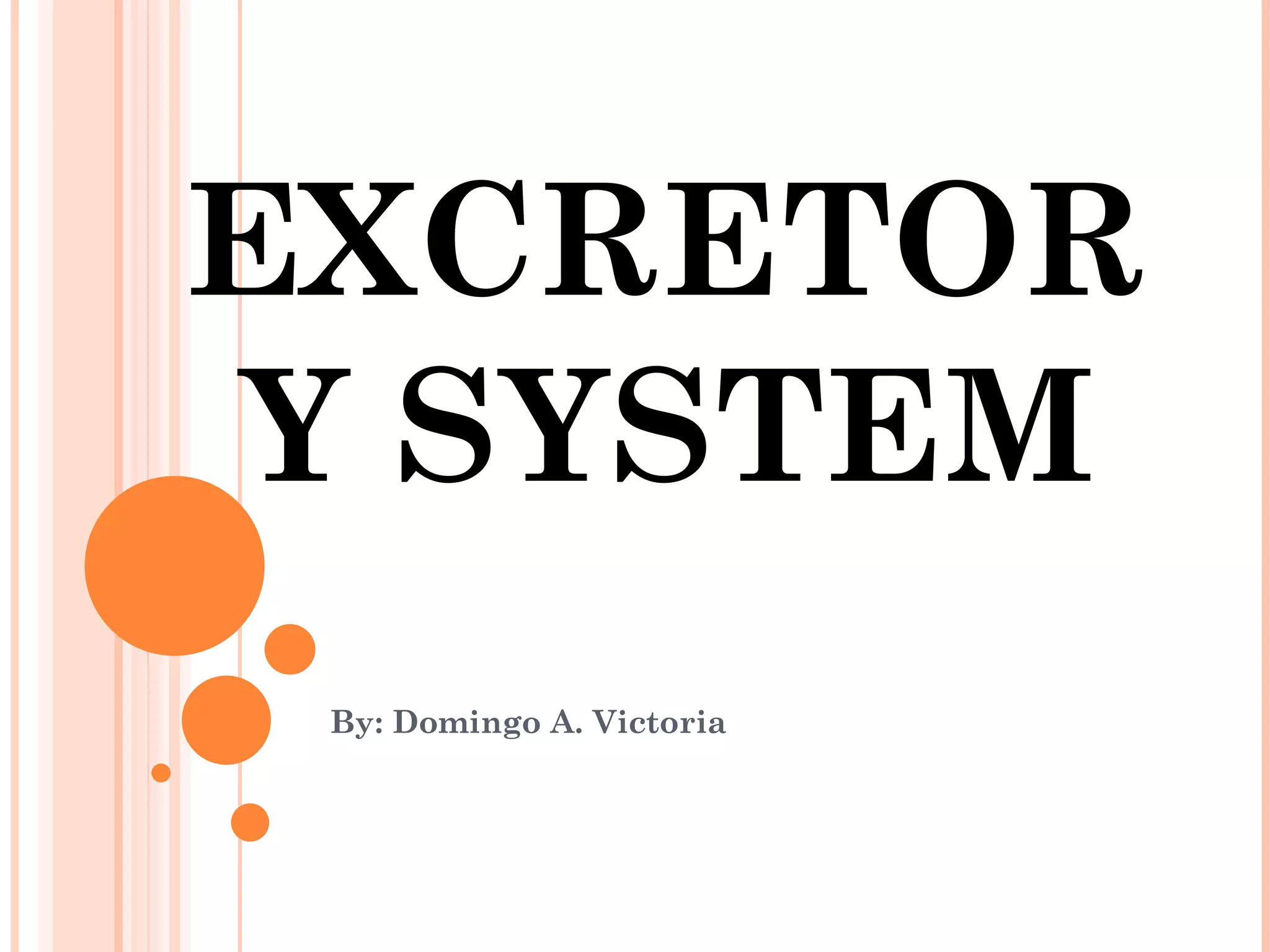 Excretory system | PPT