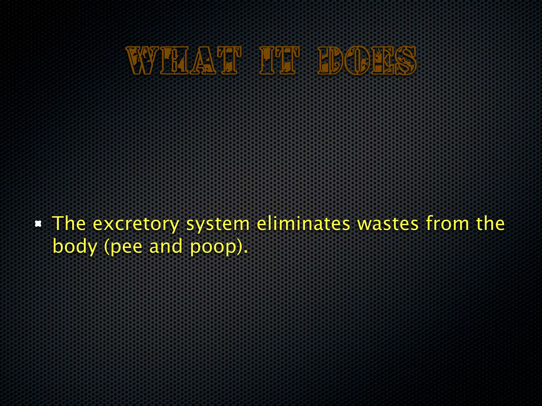 Excretory system | KEY
