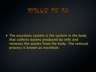 Excretory system | PPT