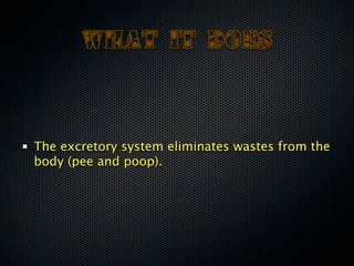Excretory system | PPT