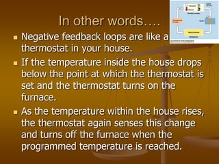 Negative Feedback Loop Thermostat