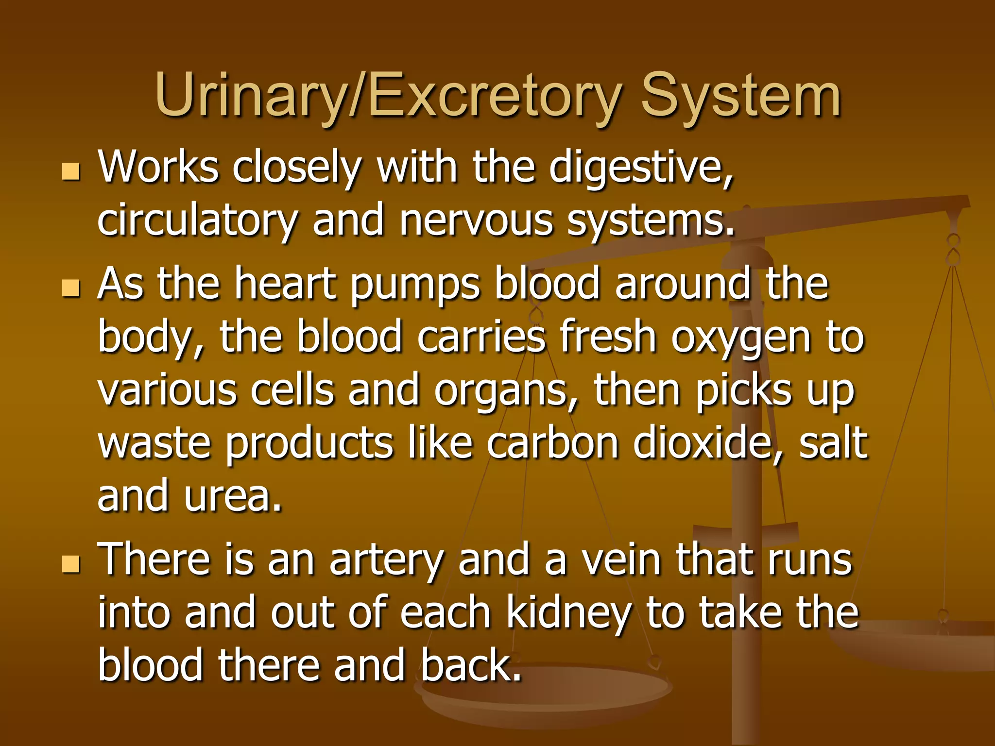 Excretory system | PPTX | Chemistry | Science