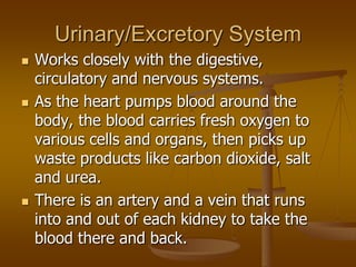 Excretory system | PPTX | Chemistry | Science