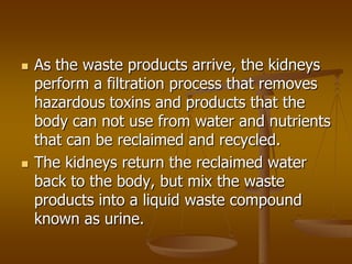 Excretory system | PPTX | Chemistry | Science