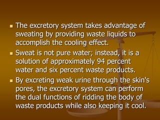 Excretory system | PPTX | Chemistry | Science