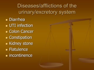 Excretory system | PPTX