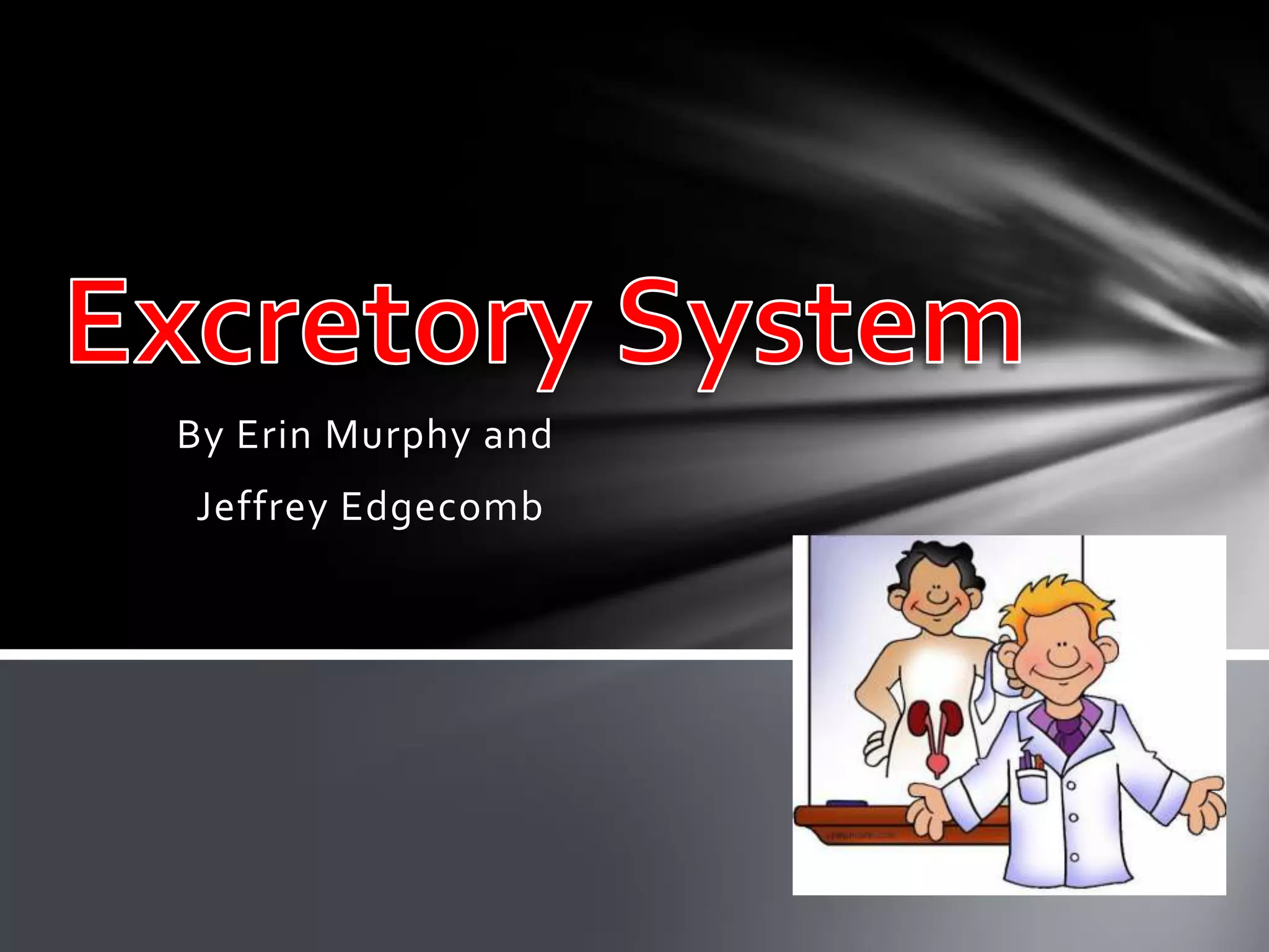Excretory system | PPTX