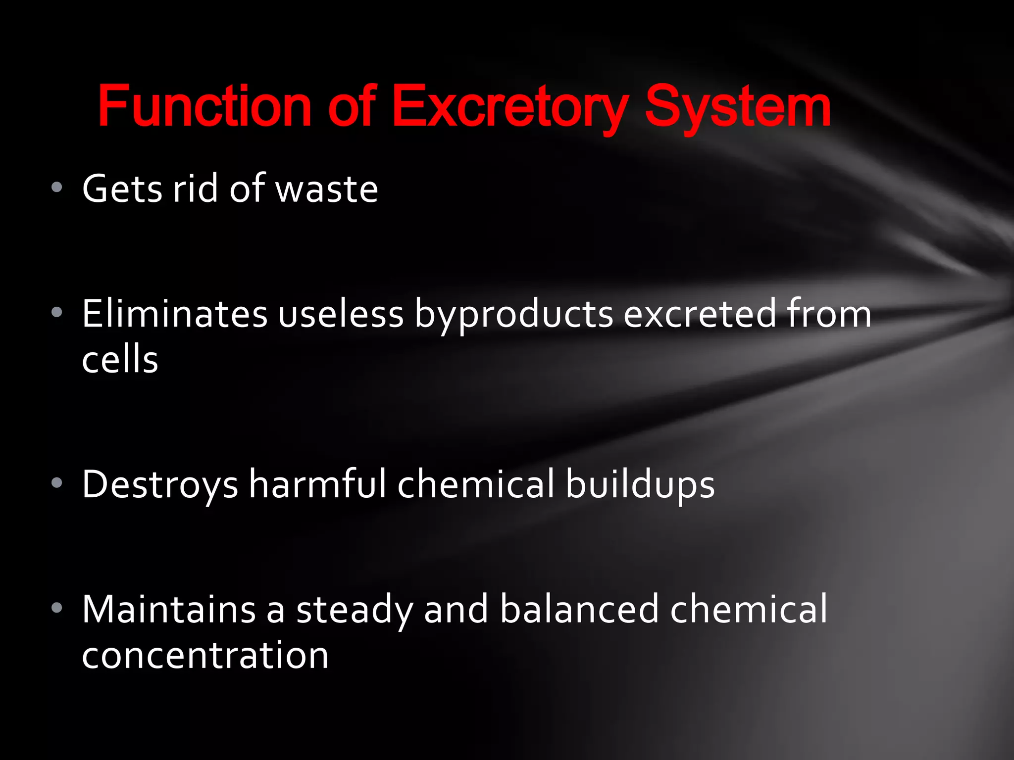 Excretory system | PPTX