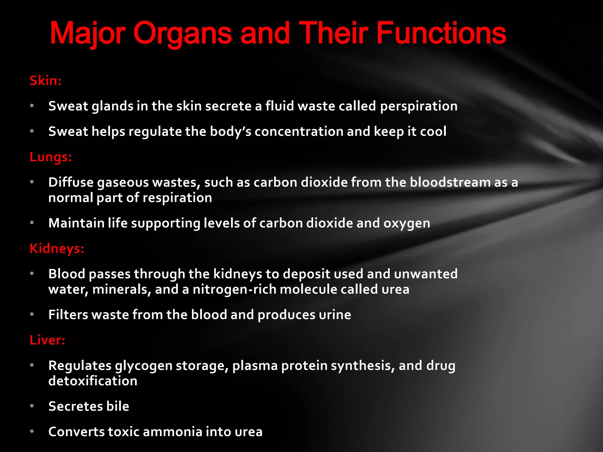 Excretory system | PPTX