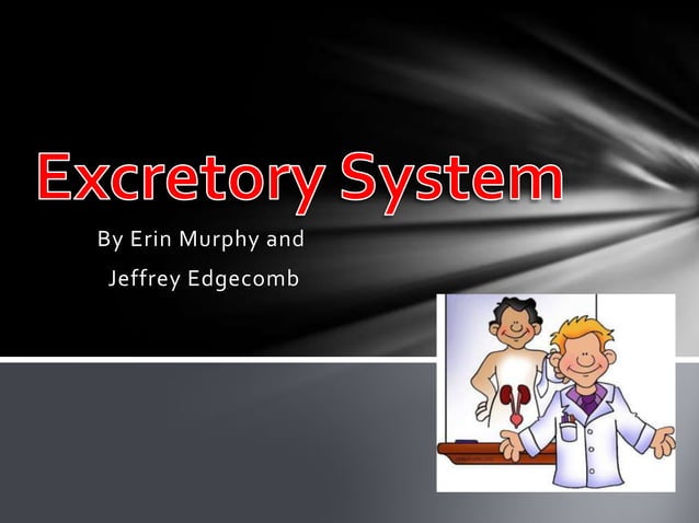 Excretory system | PPT