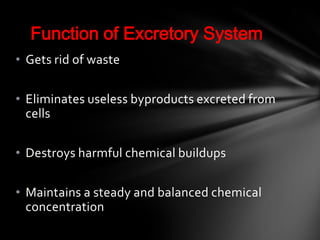 Excretory system | PPTX