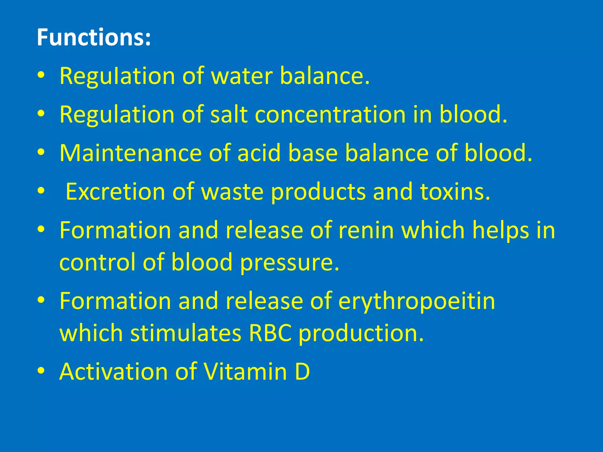 Excretory system | PPT