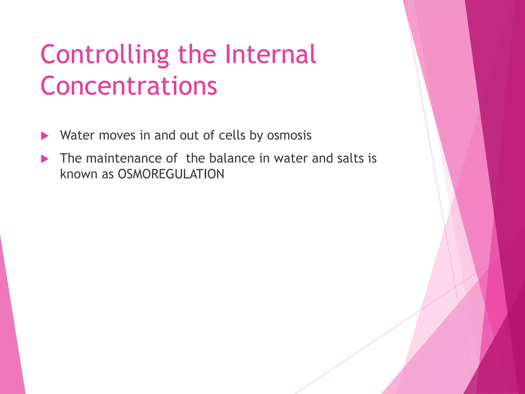 Excretory system | PPTX
