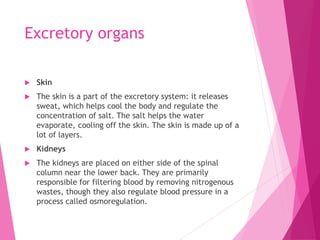 Excretory system | PPTX