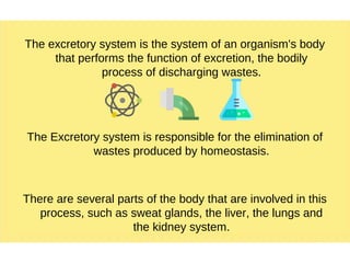 Excretory system | PPT