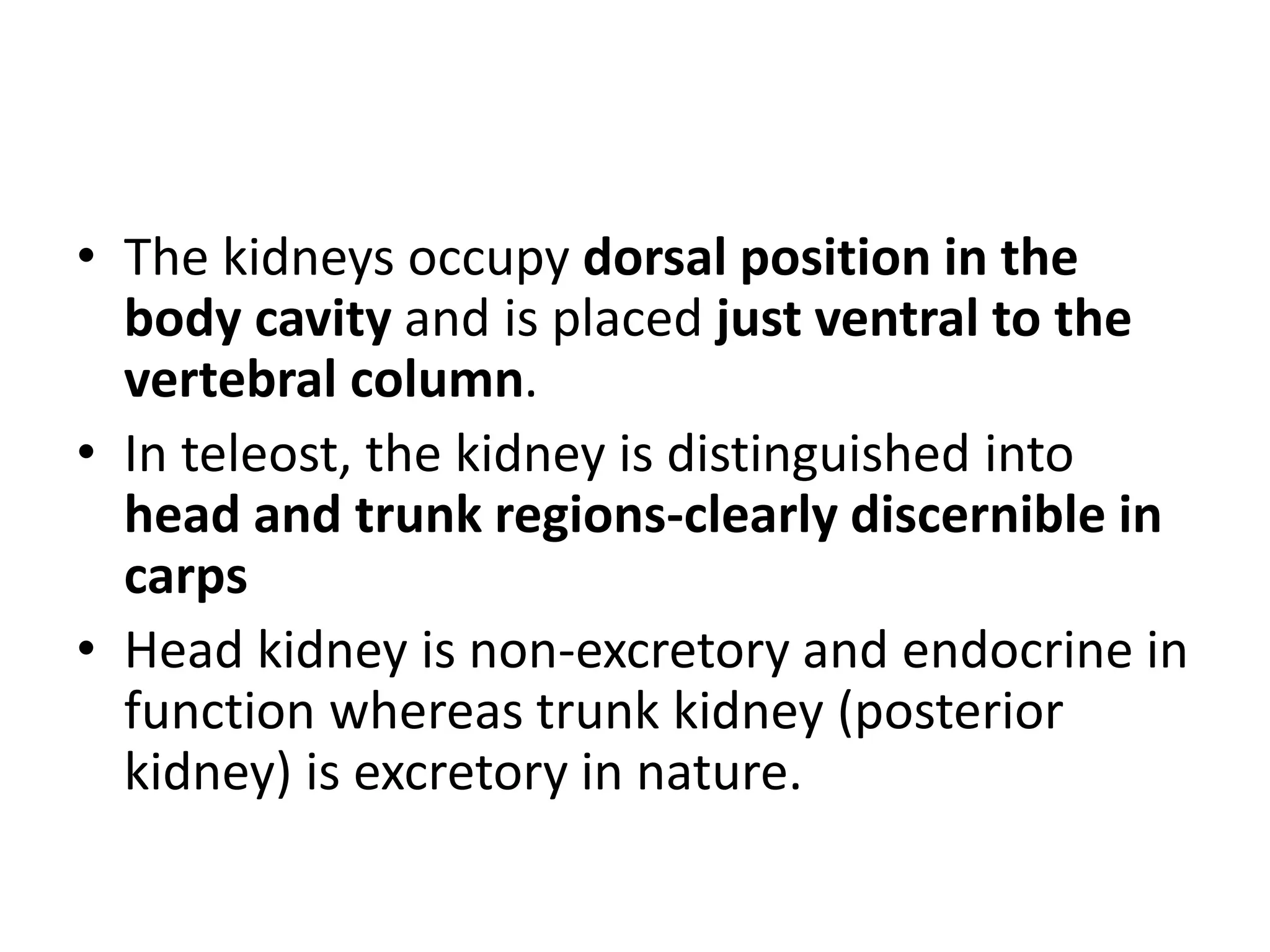 Excretory system of fishes | PPTX