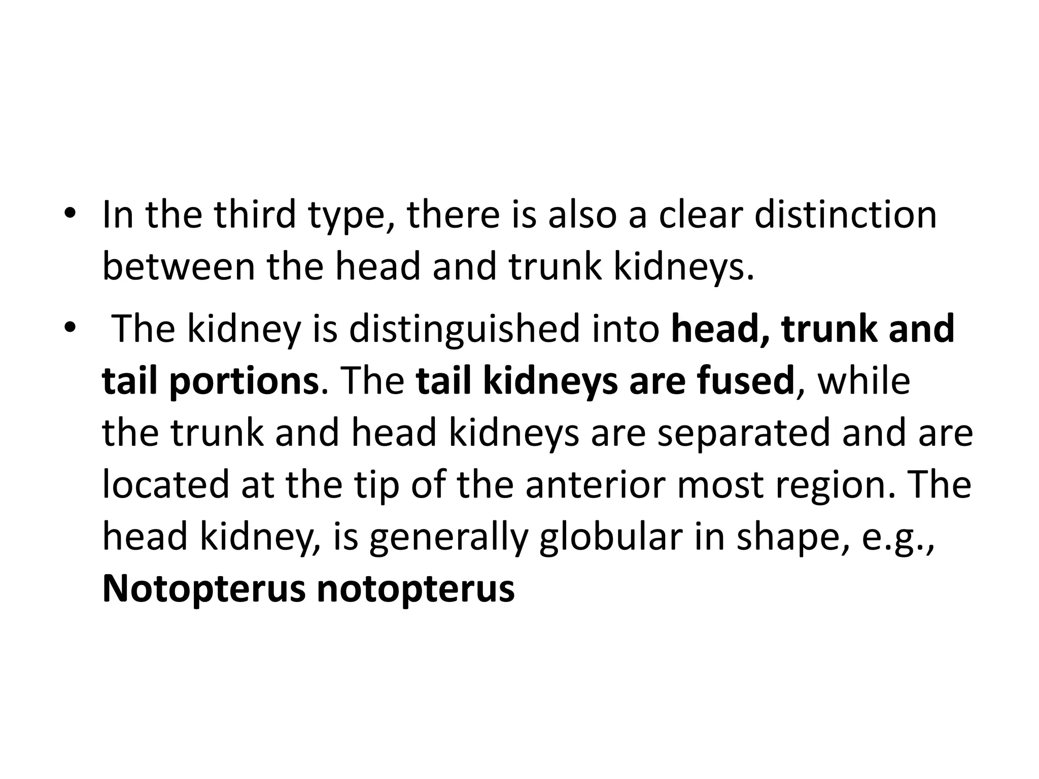 Excretory system of fishes | PPTX