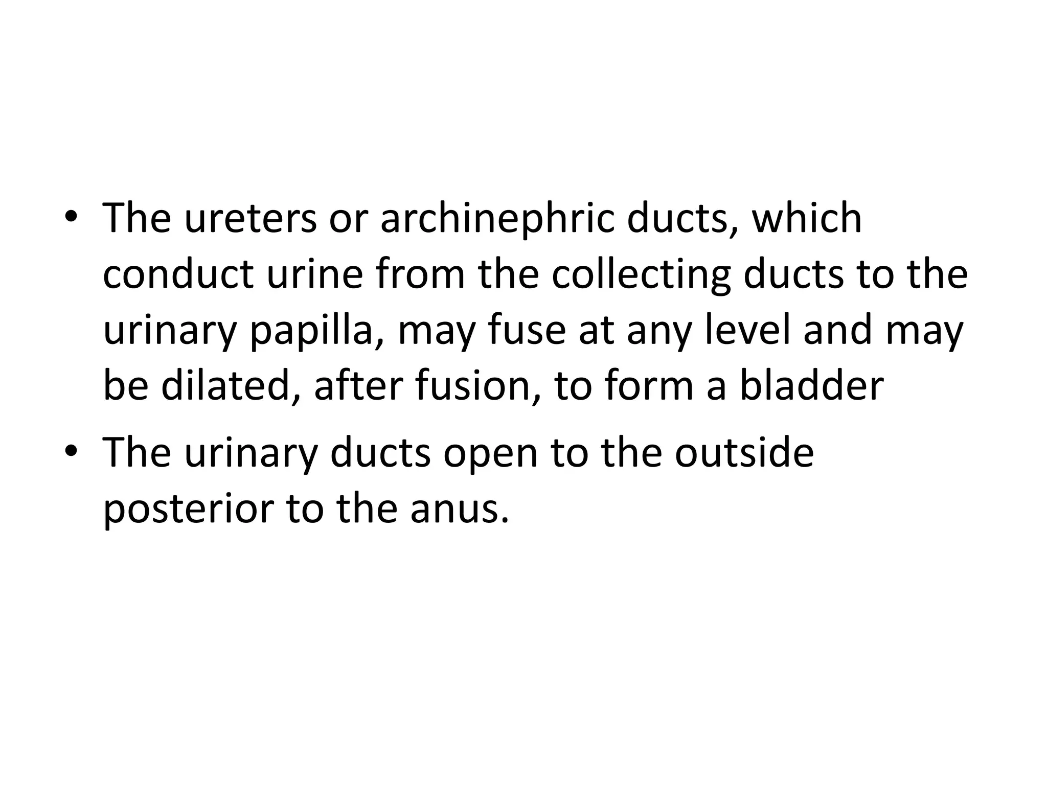 Excretory system of fishes | PPTX
