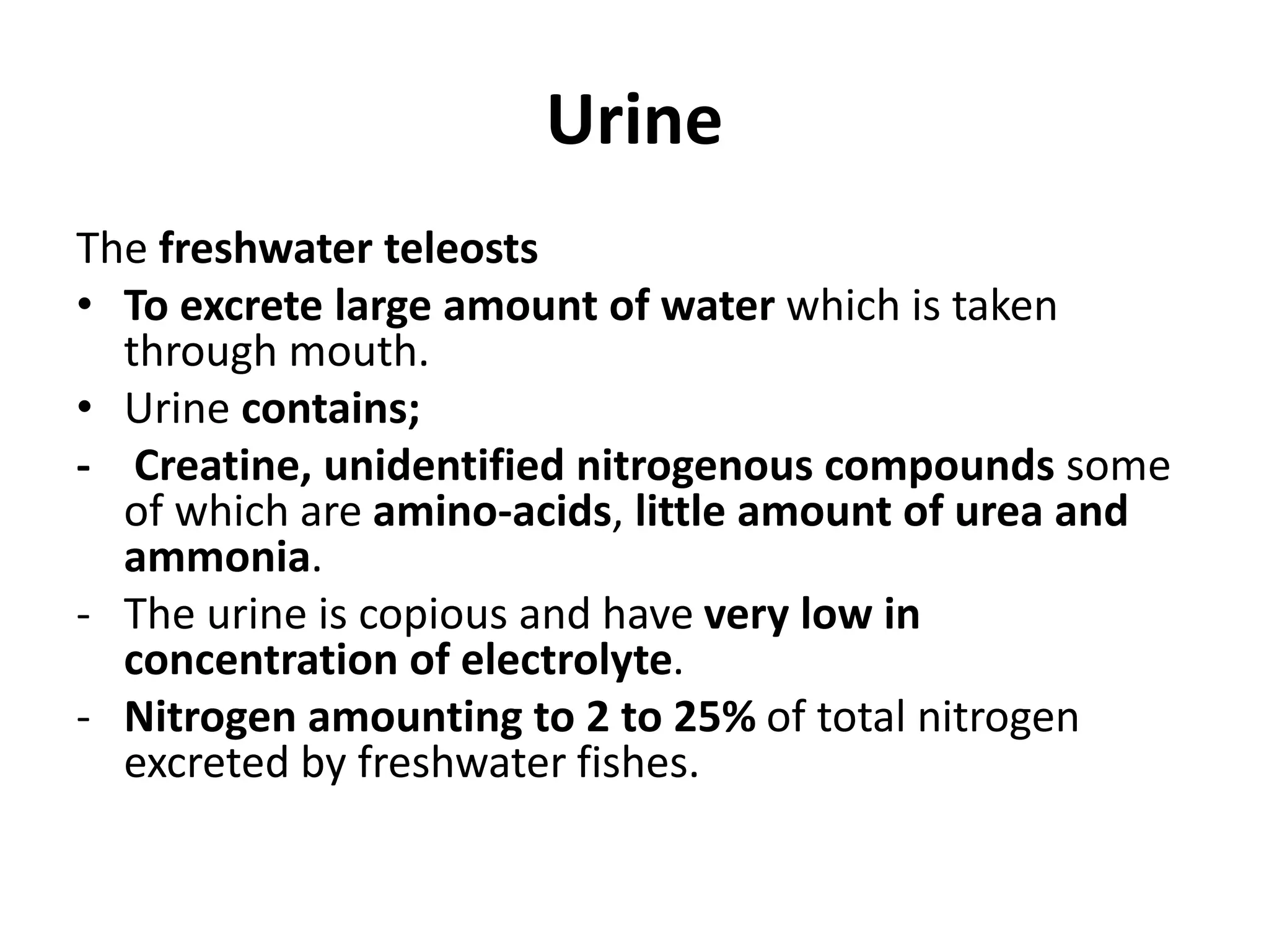 Excretory system of fishes | PPTX