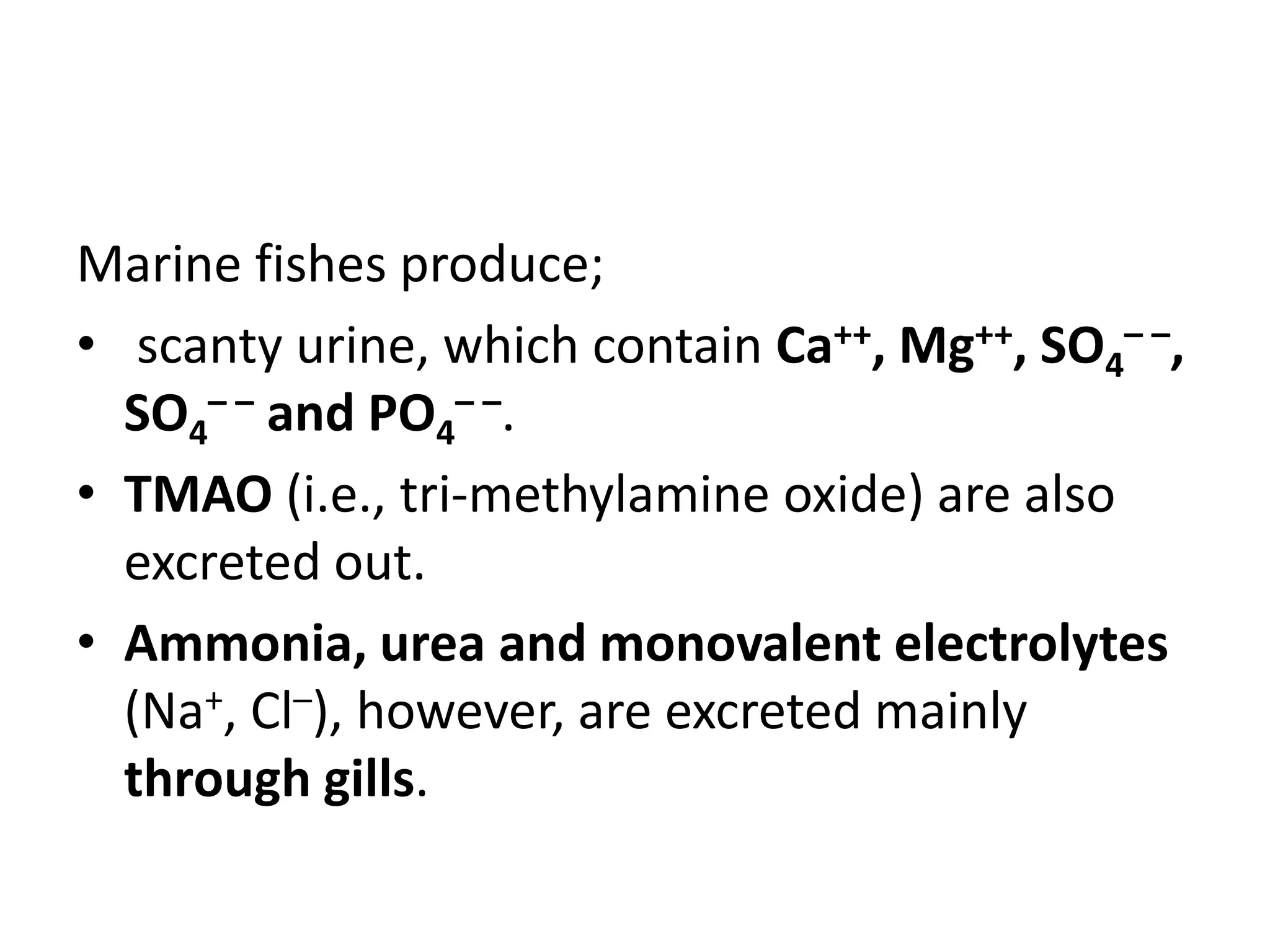 Excretory system of fishes | PPTX
