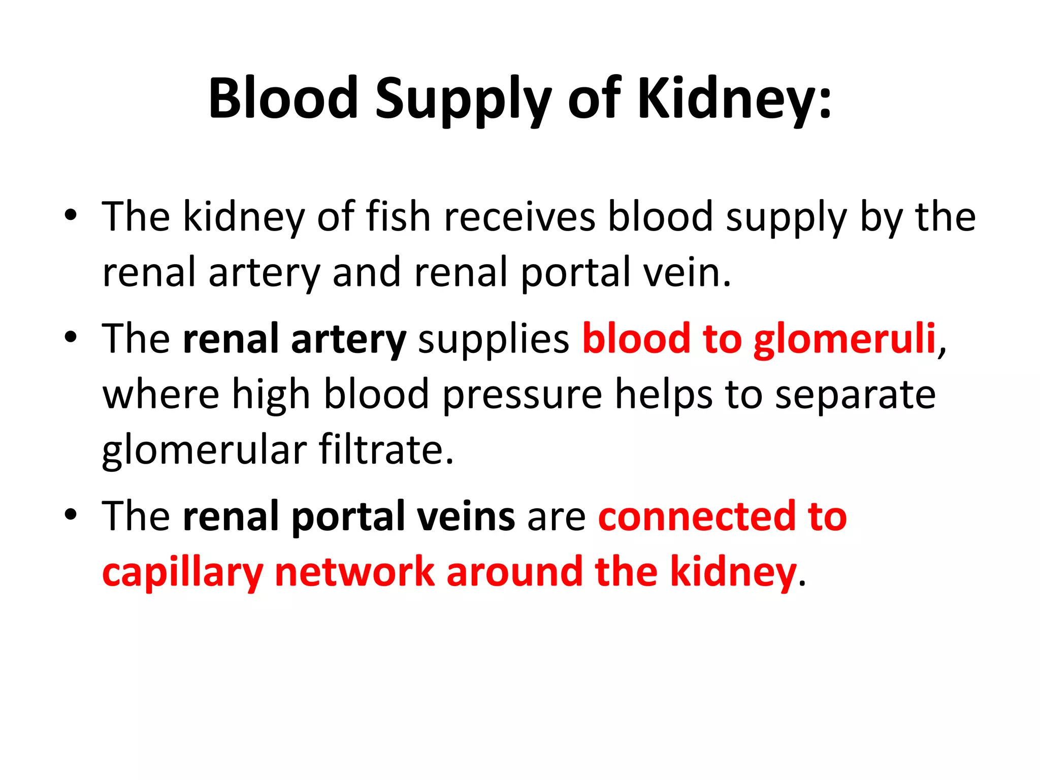 Excretory system of fishes | PPTX