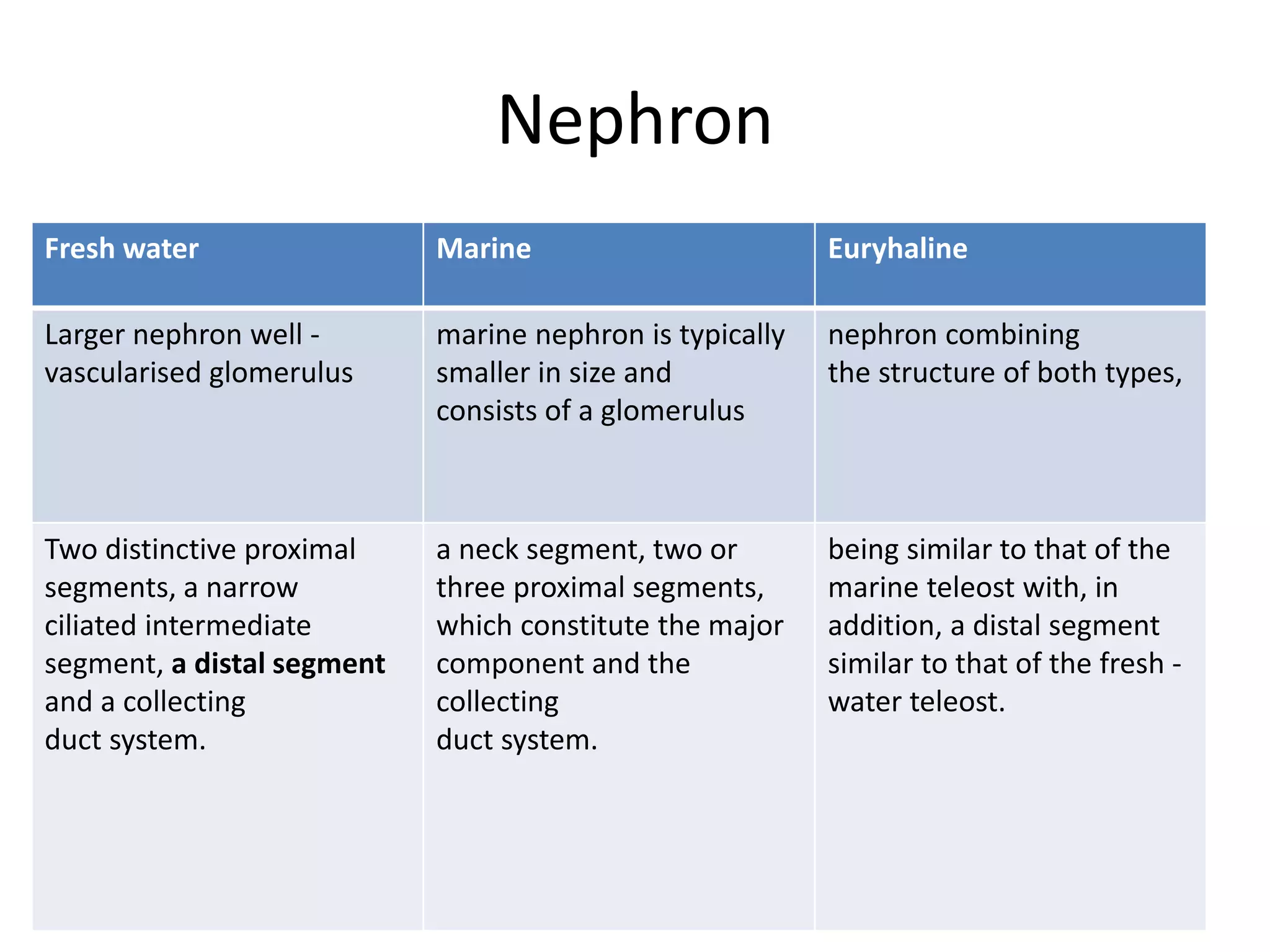 Excretory system of fishes | PPTX