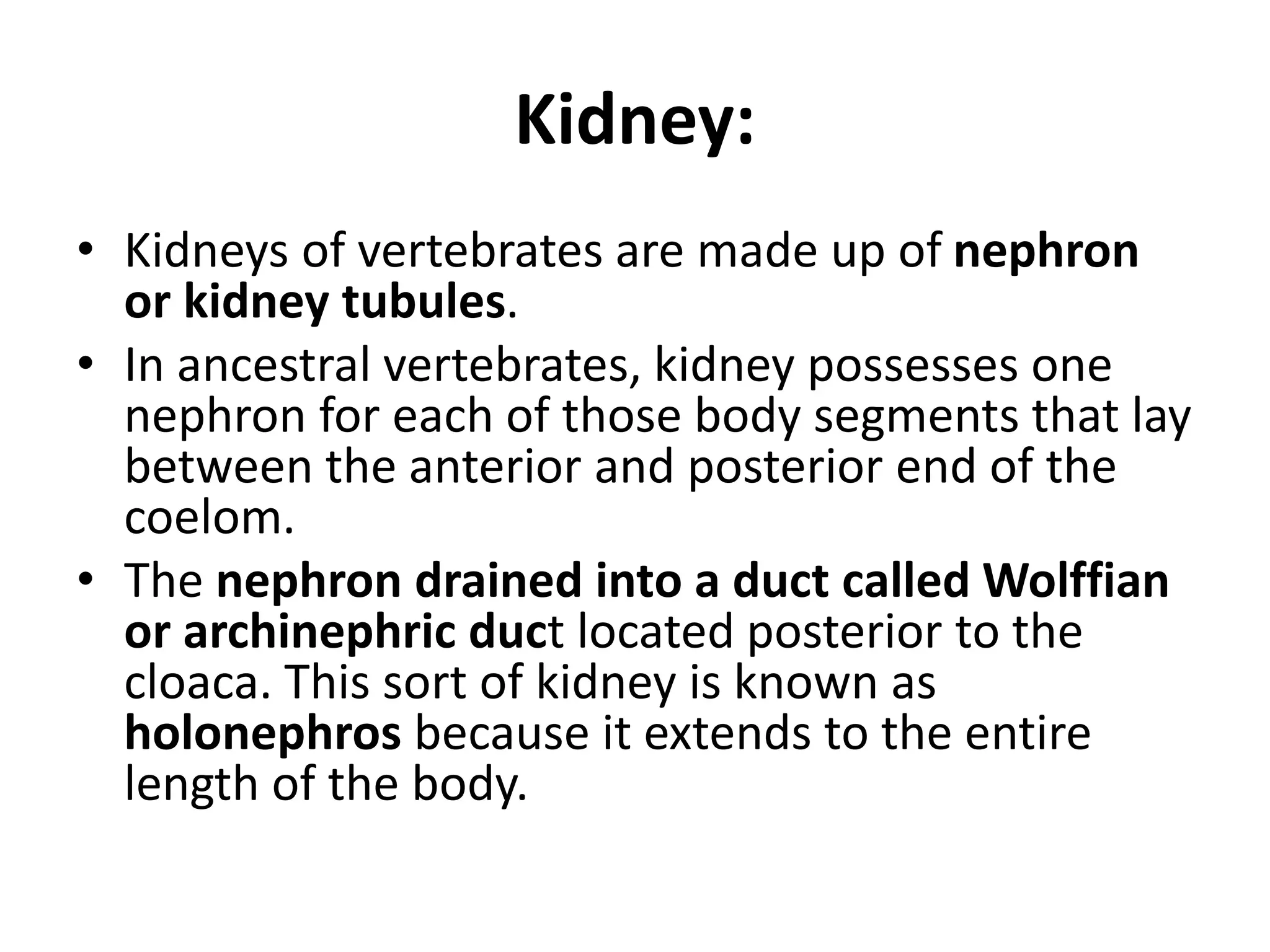 Excretory system of fishes | PPTX