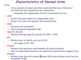 The Excretory system | PPT