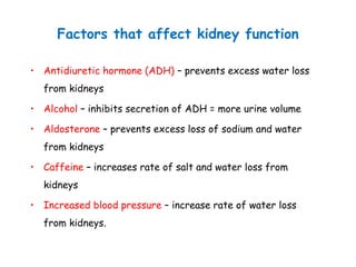 The Excretory system | PPT
