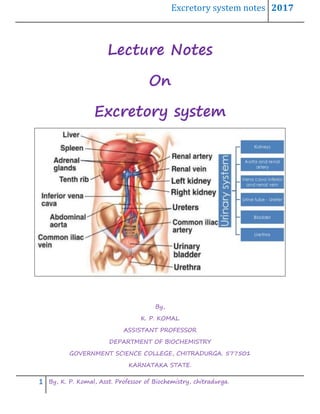 Excretory system | PDF