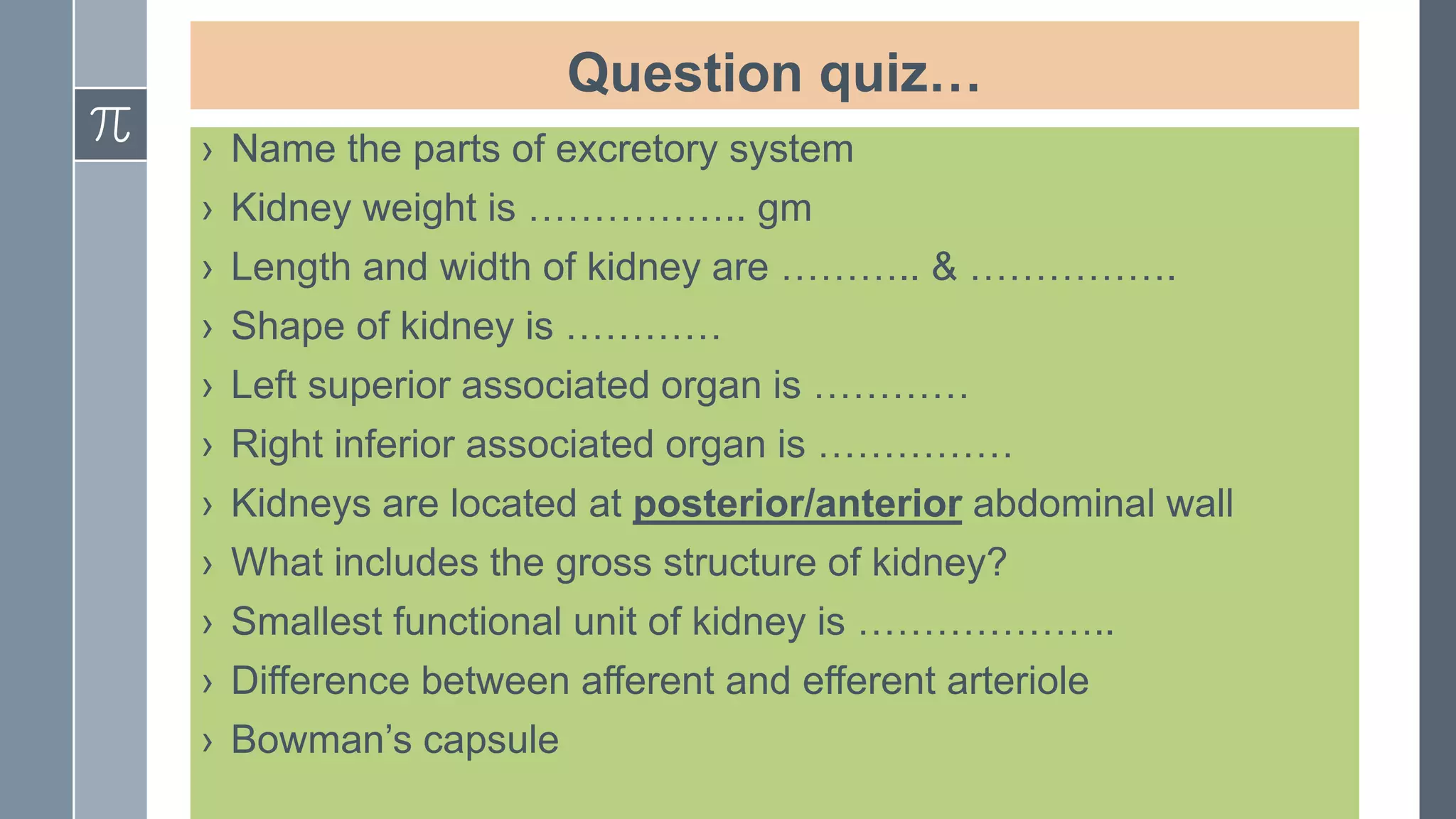 Excretory system | PDF