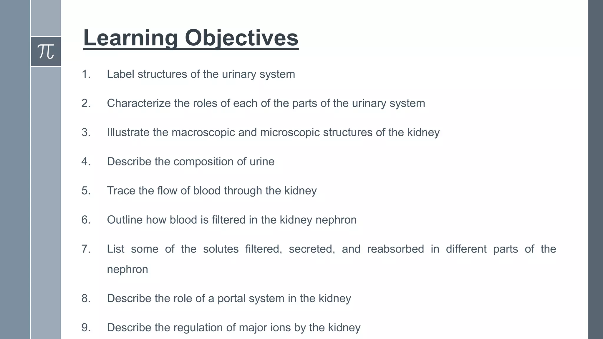 Excretory system | PDF