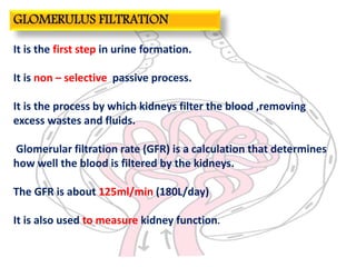 Excretory system | PPT