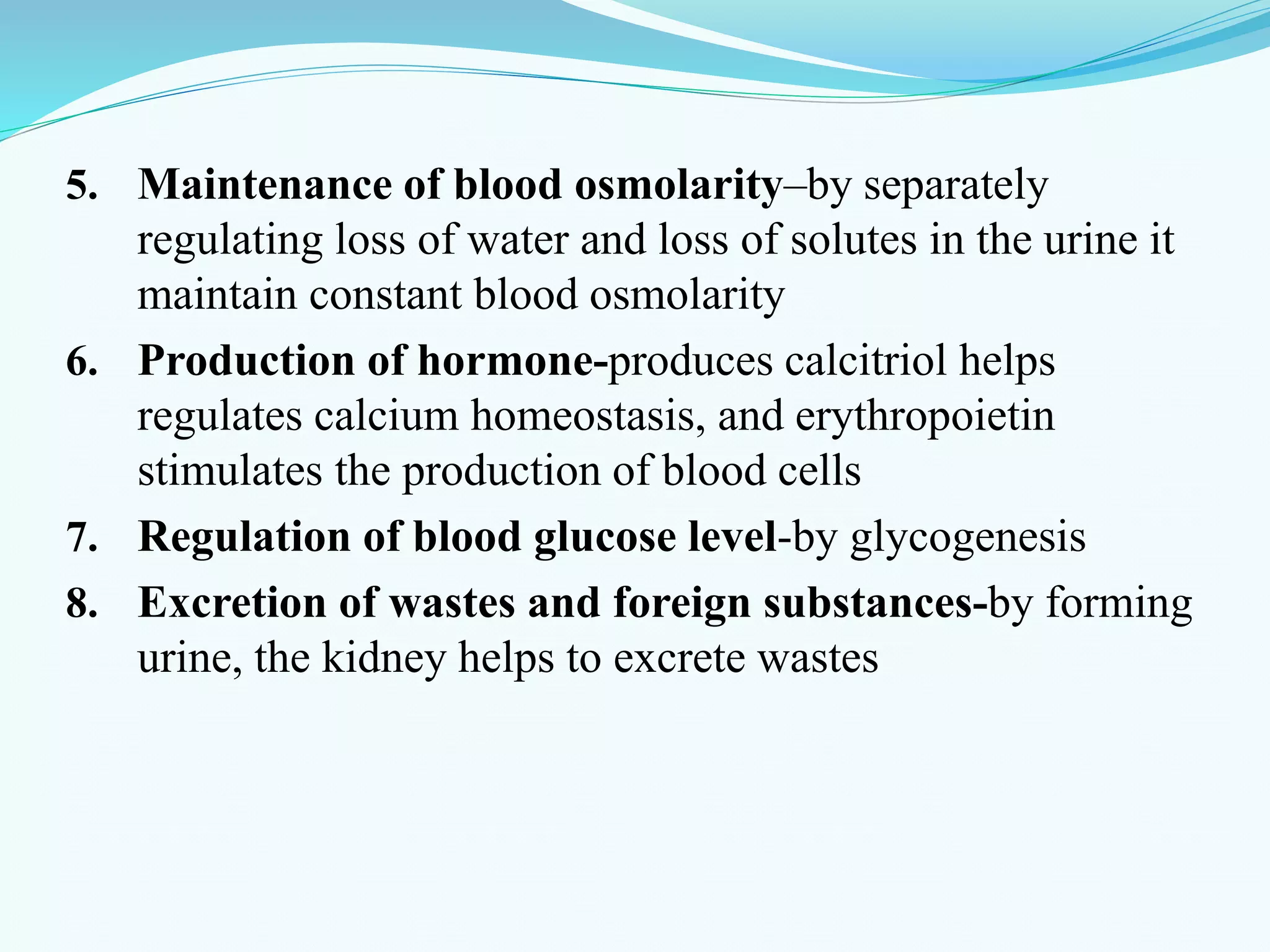 Excretory system of human body | PPTX