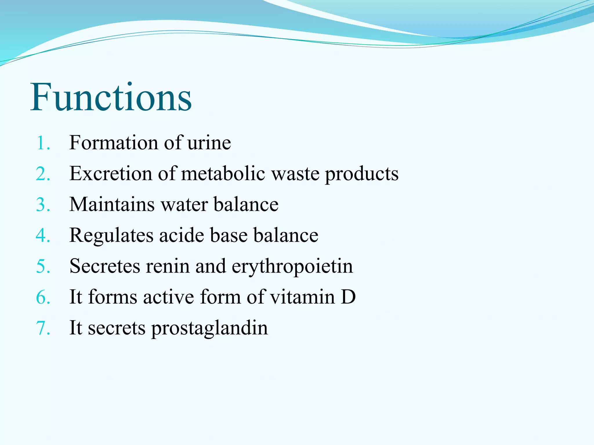 Excretory system of human body | PPTX