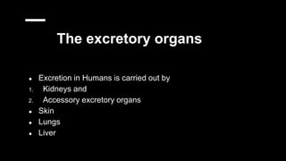 Excretory system | PPTX