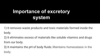 Excretory system | PPTX