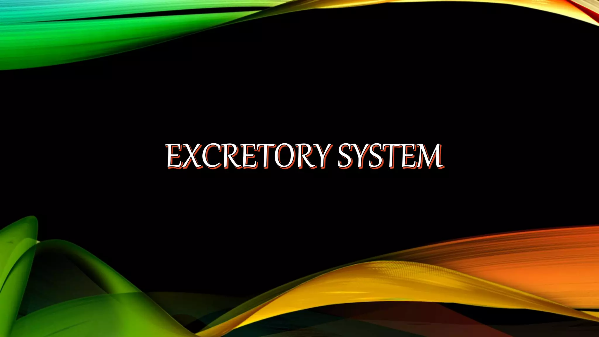 Excretory system | PPTX
