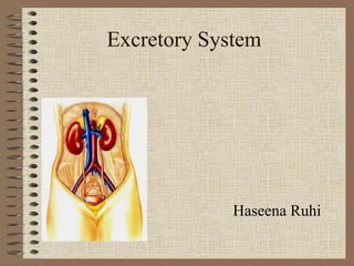 Excretory system | PPTX