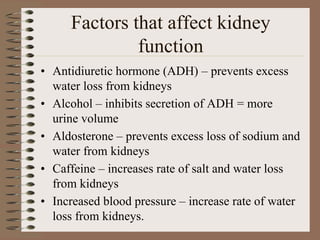 Excretory system | PPTX
