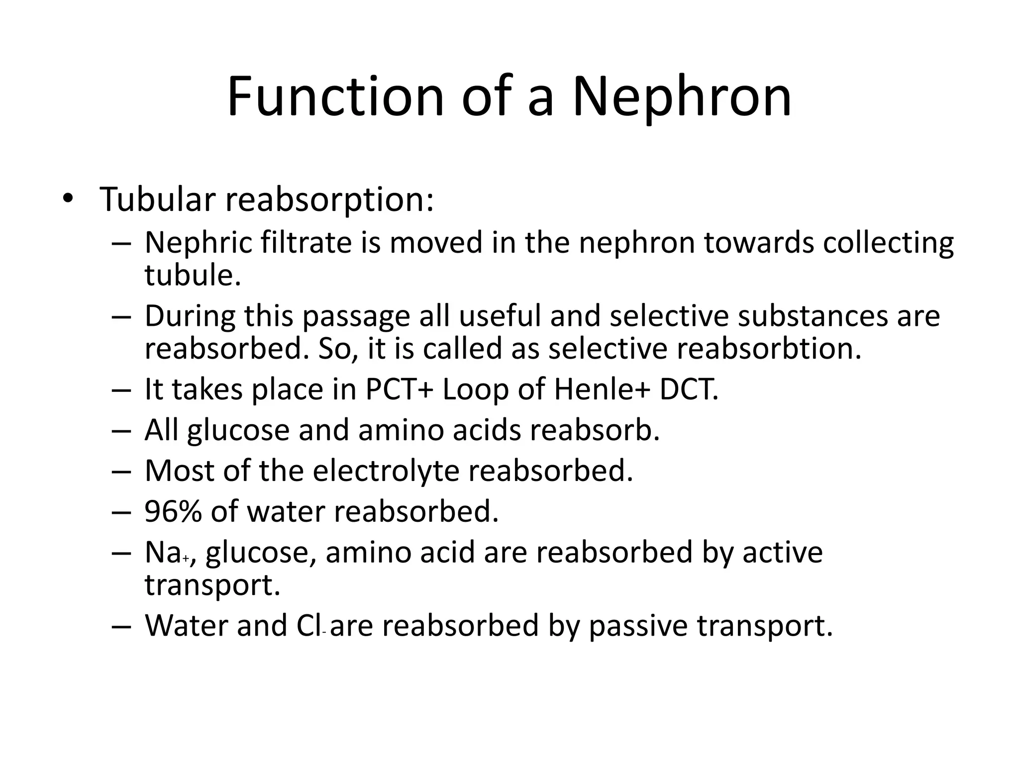 Excretory system | PPTX