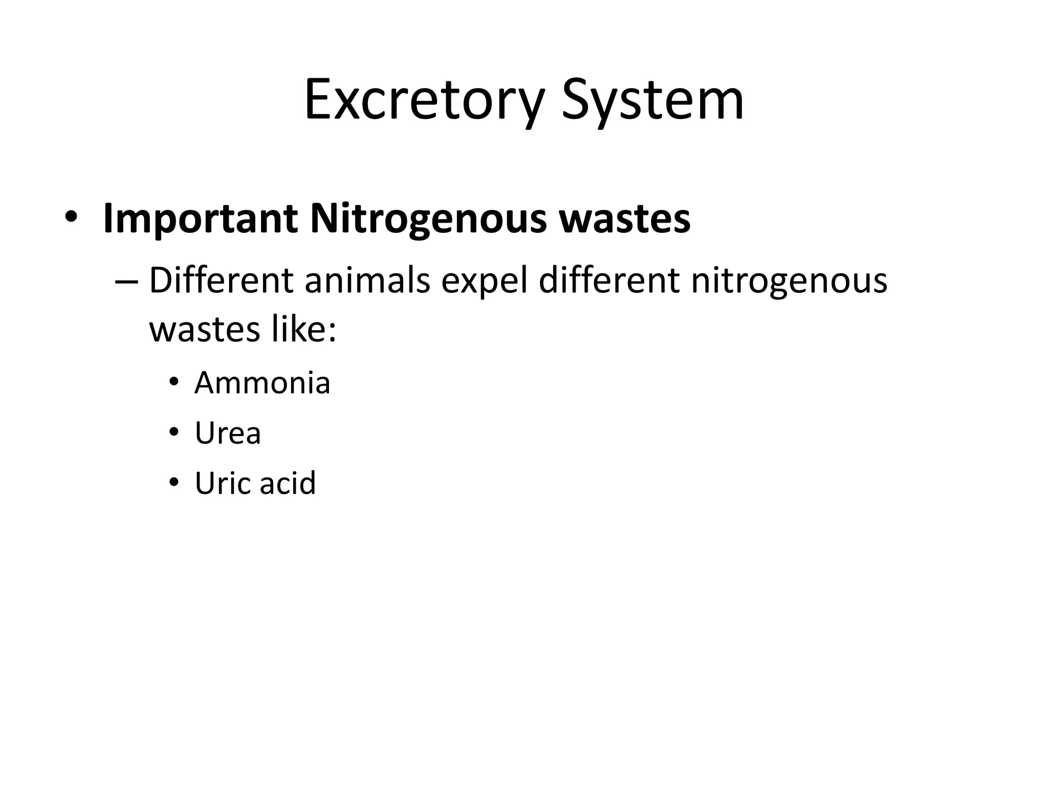 Excretory system | PPTX