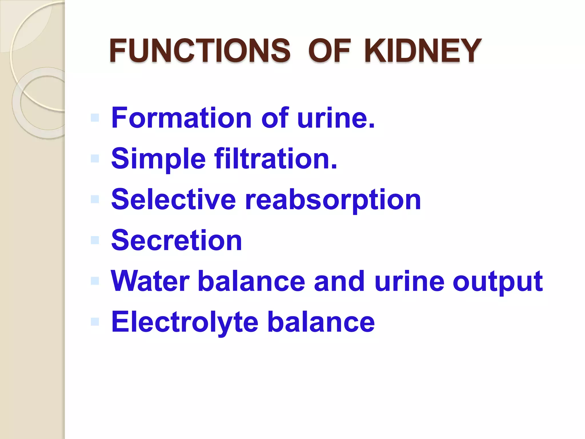 Excretory system in Human (Class 10) | PPTX