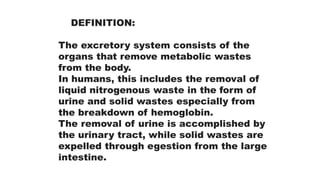 Excretory system | PPTX