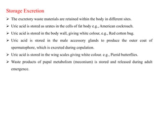 Excretory System.pptx